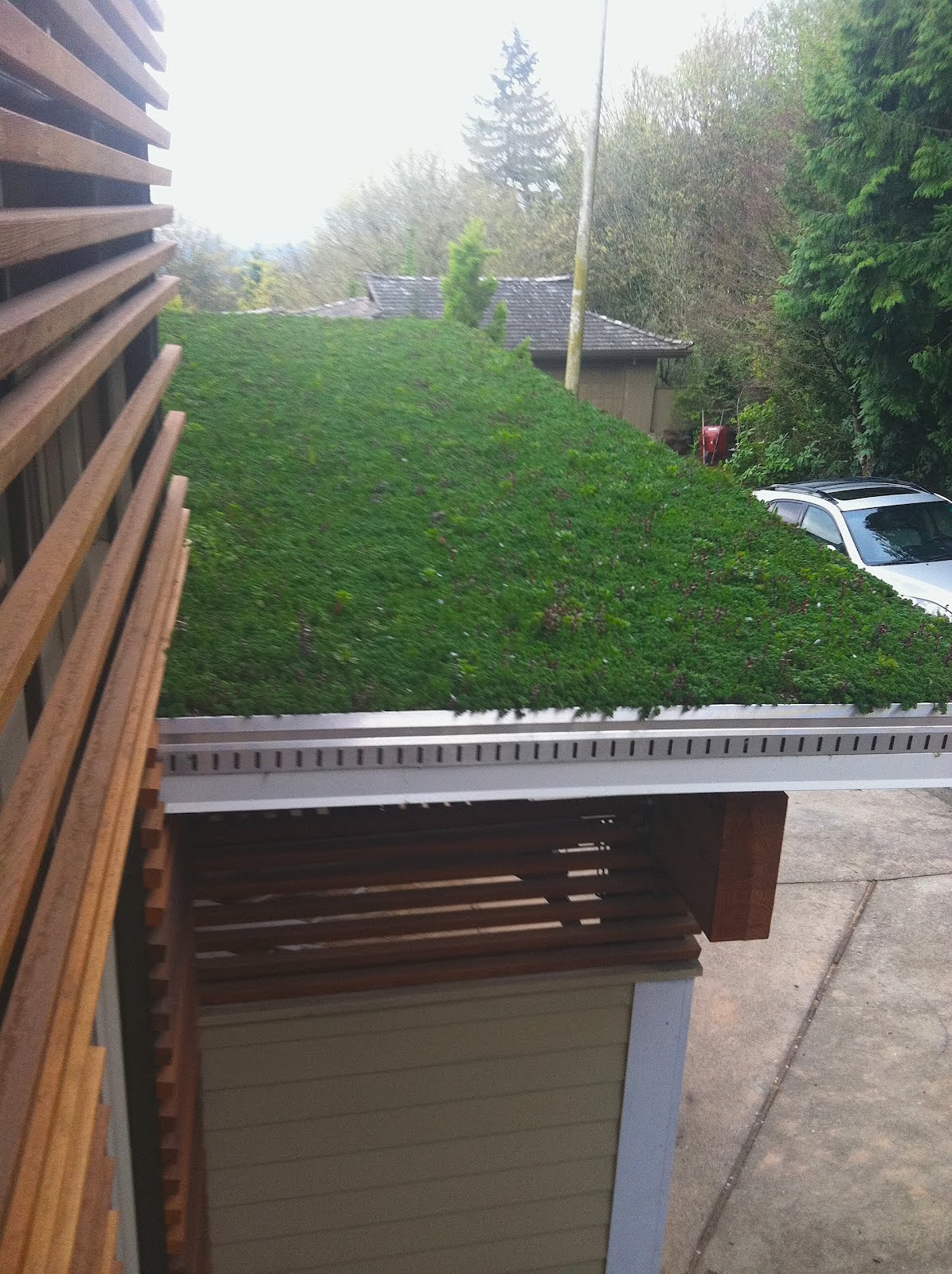 Portland Oregon Interior Design Blog: Eco roofs and roof gardens