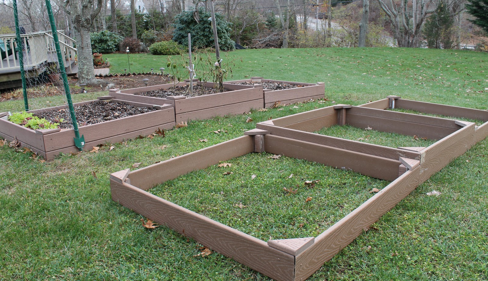 End of November Garden Chores