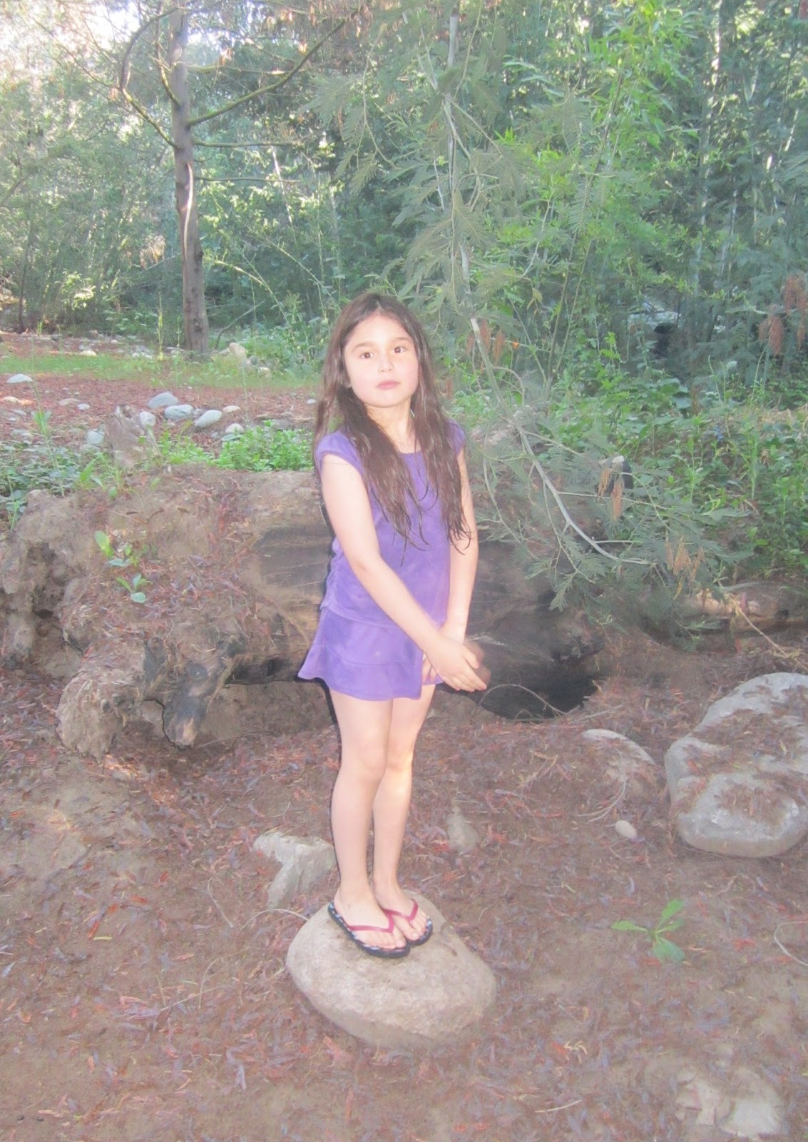 Jenny Javiera: POPETA - Rengo, Sexta Región