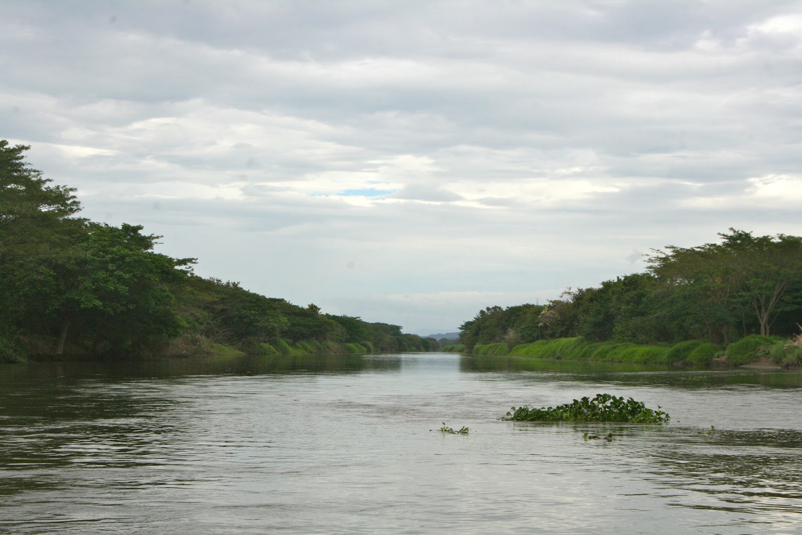 ECOSISTEMAS DE COSTA RICA: PARQUE NACIONAL PALO VERDE