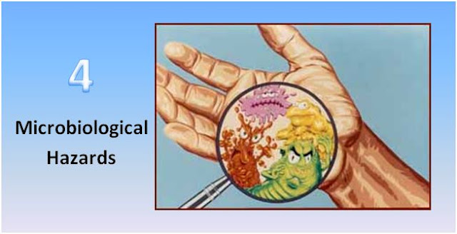CUL2115 - Food Nutrition: Chapter 2 : Microbiological Hazards