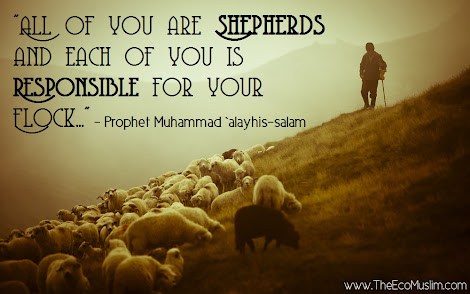 8 Leadership Lessons From A Shepherd's Life | @TheEcoMuslim