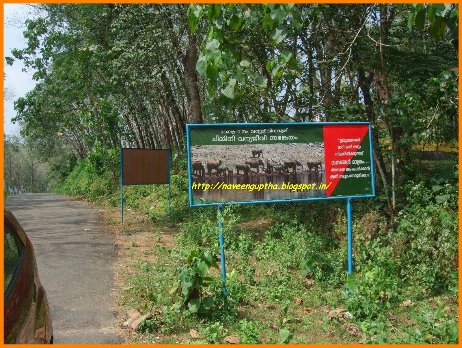 Exploring South India - Travel blog.....: Chimmony (or Chimmini ...