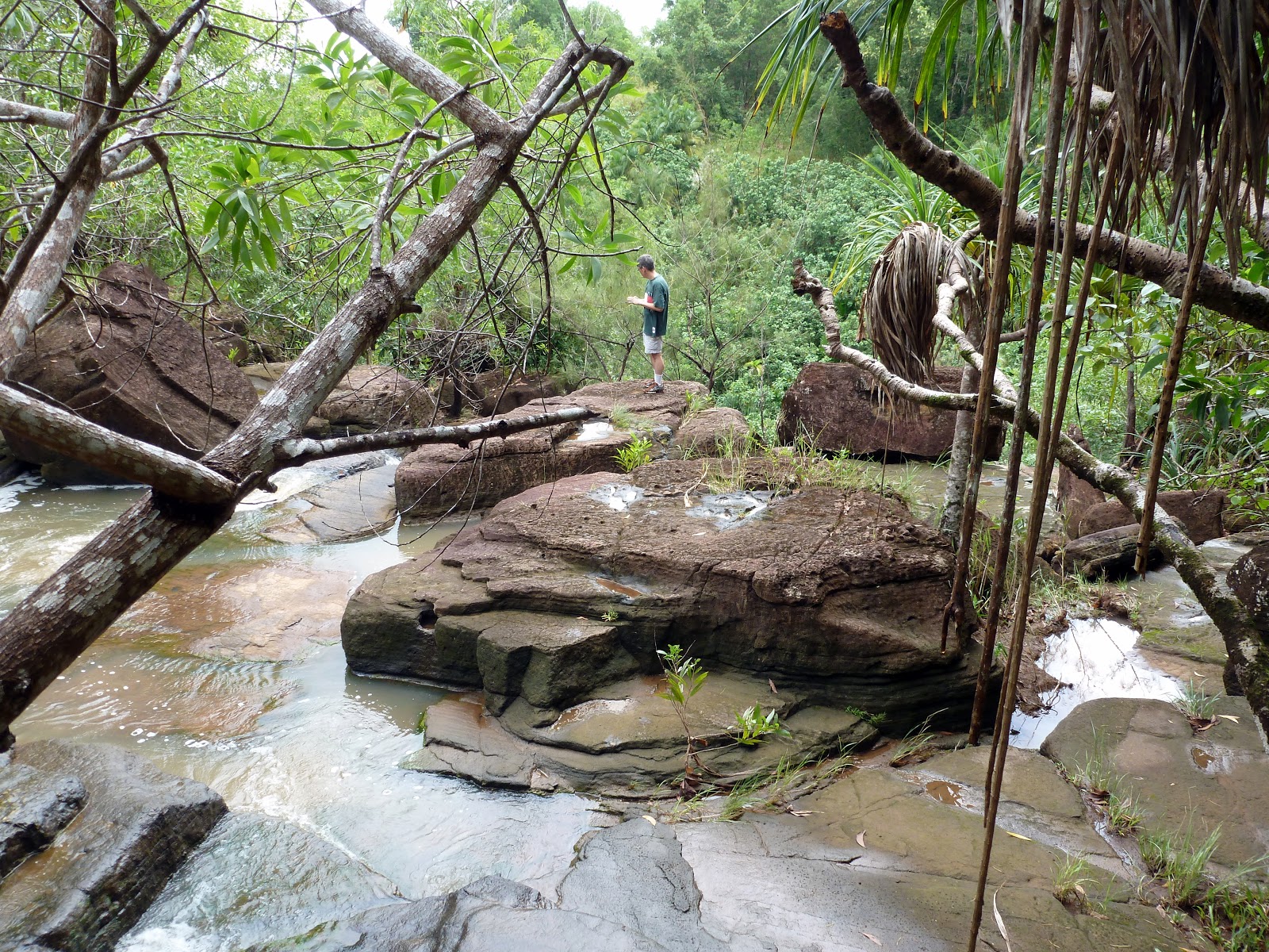Guamaniacs: Boonie Stomping: Tarzan Falls