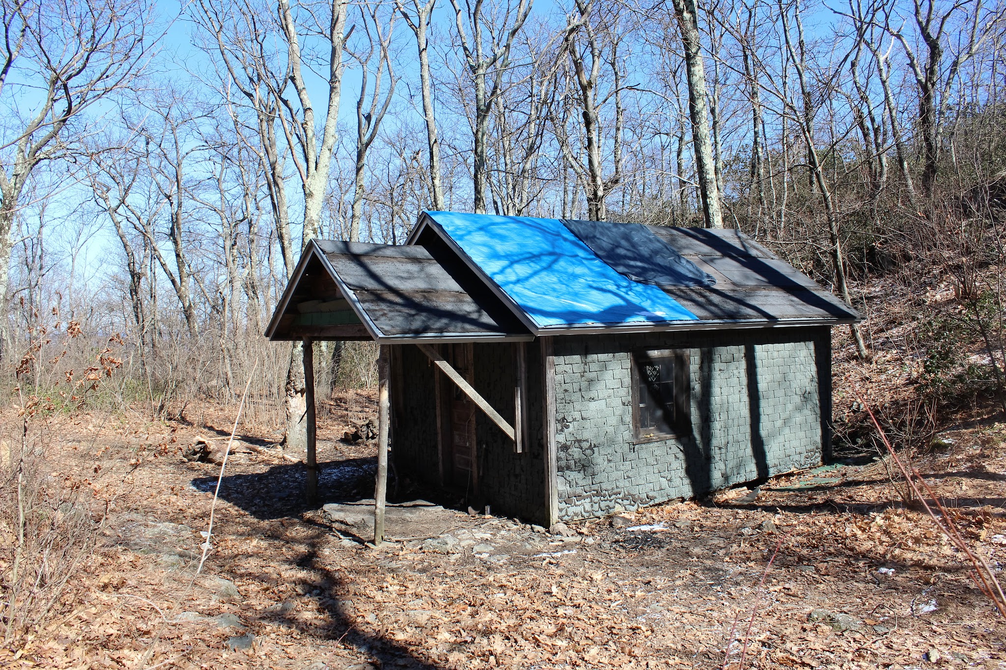 Walking Man 24 7: Alander Mountain(South Taconics)