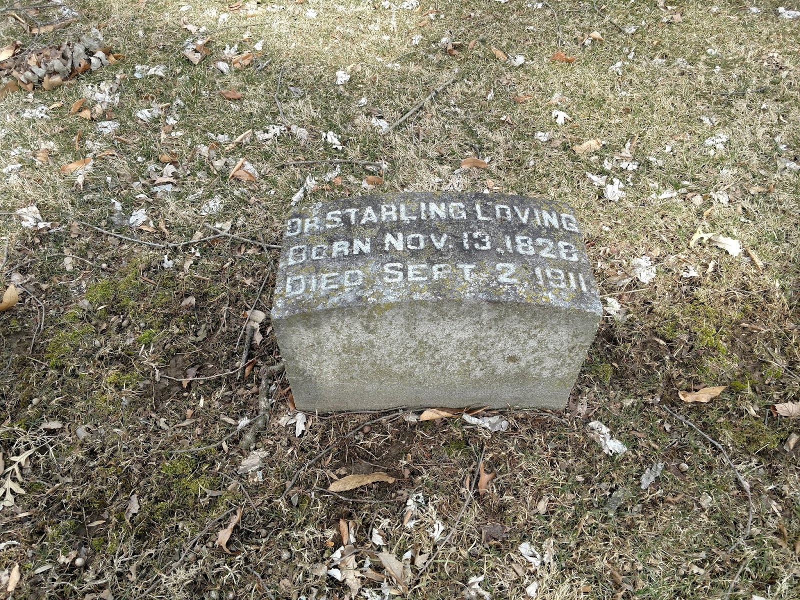 Travels of a Hobgoblin Taphophile: Starling-Loving Family - Green Lawn ...