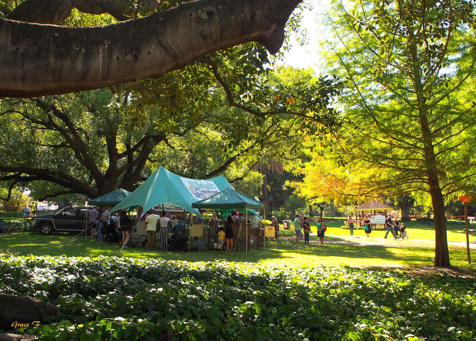 Perth Daily Photo : Autumn fair in Hyde Park..