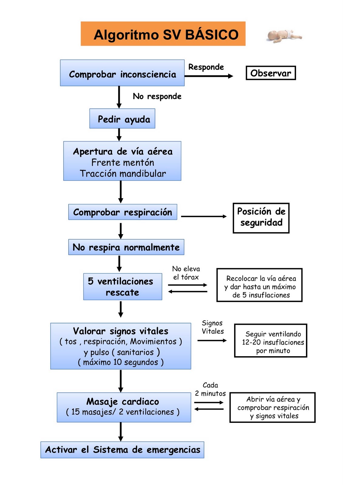 Pediatria 2012: Reanimacion 2010