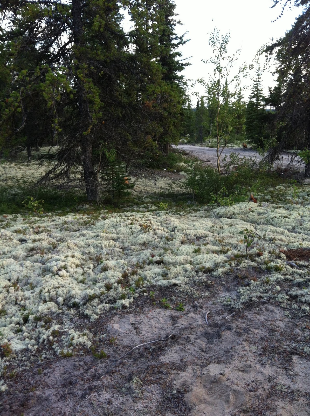 When in Wemindji...: TRIBES and Adventure