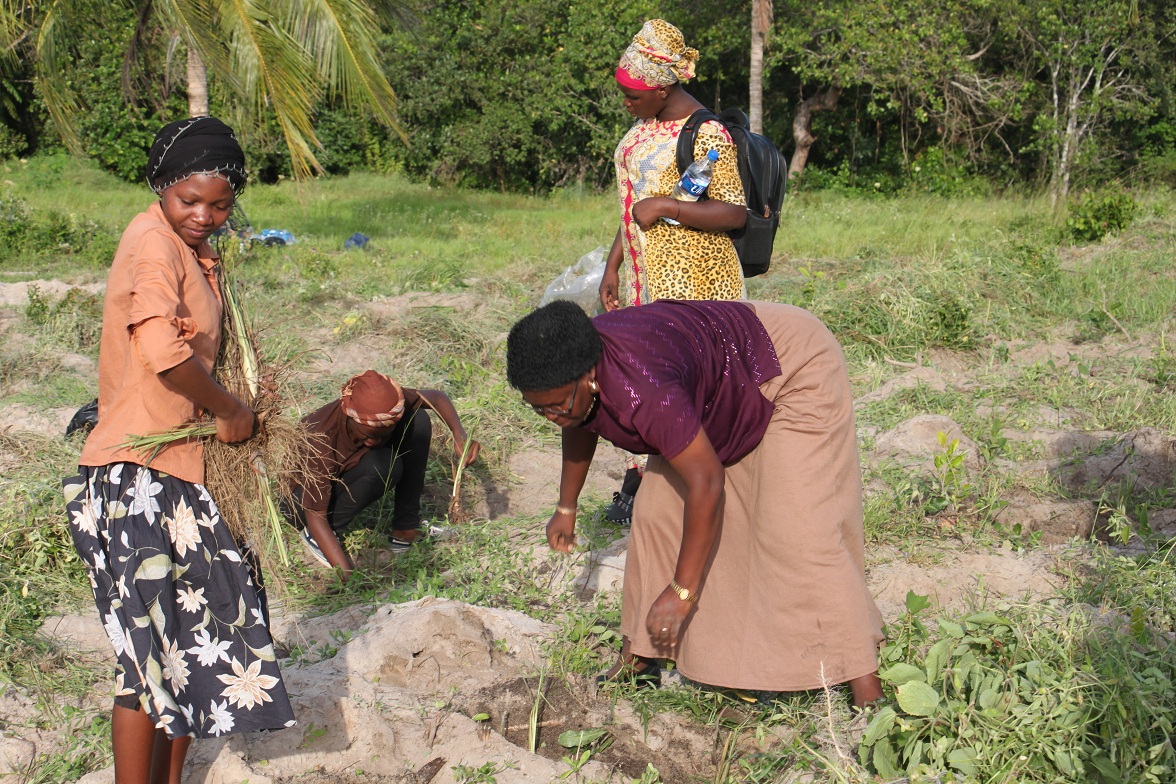 OFISI NZIMA YA MKIKITA WAHAMIA SHAMBANI VIKINDU KUPANDA MCHAICHAI