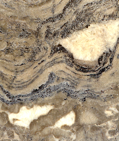 GEOLOGI SAMPAI MATI!!!!: klasifikasi embry & klovan (1971)