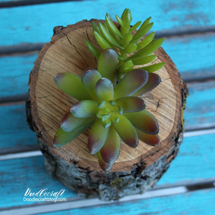 Succulent Log Planter!