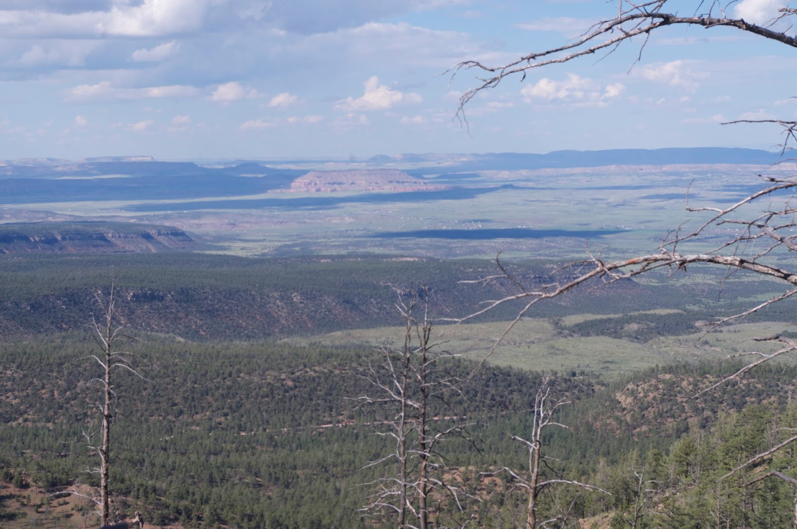 Southern New Mexico Explorer: Mount Sedgwick, Zuni Mountains- Cibola ...
