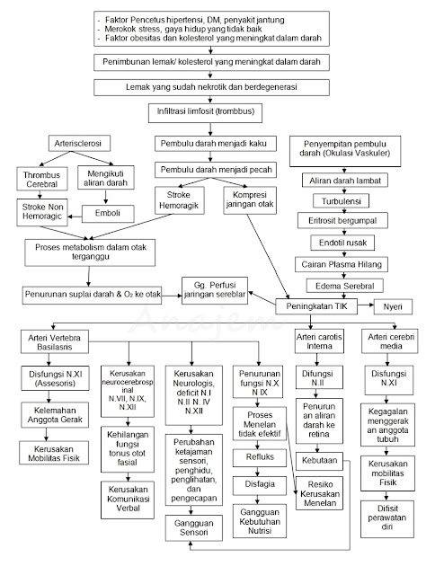 pathway stroke | keperawatan