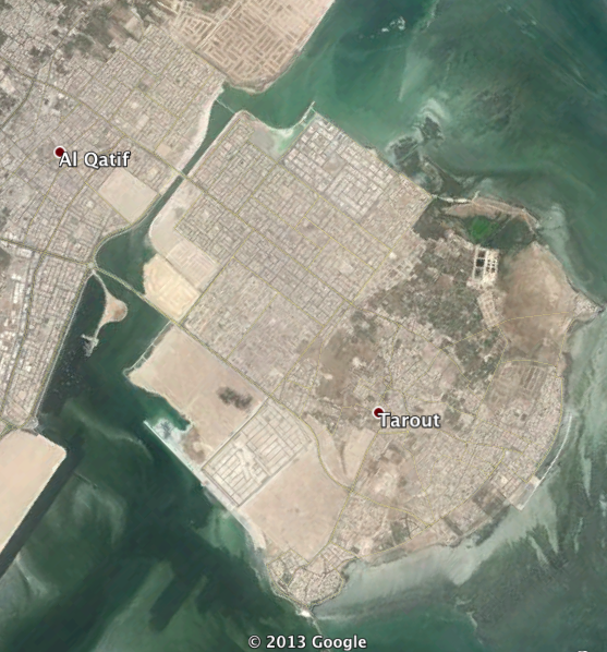 Arabian Anthropology: Qatif's Heritage & Environment in the Last 50 ...