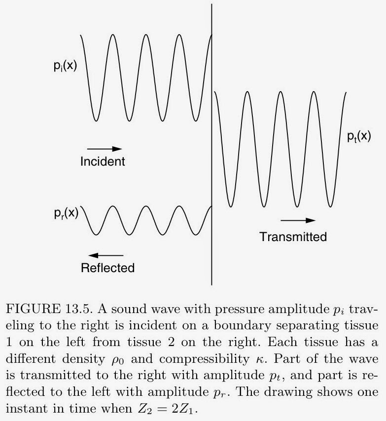 Intermediate Physics for Medicine and Biology: Figure 13.5