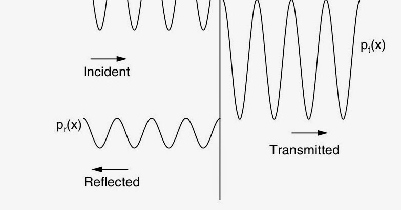 Intermediate Physics for Medicine and Biology: Figure 13.5