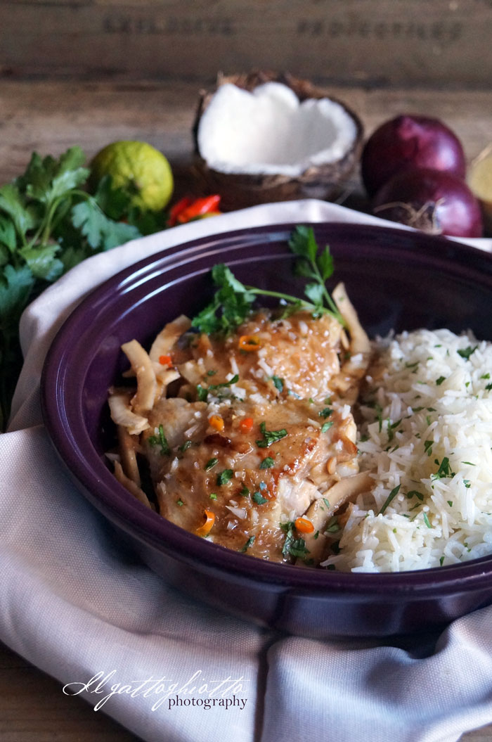 Pollo al cocco fresco – IlGattoGhiotto.it