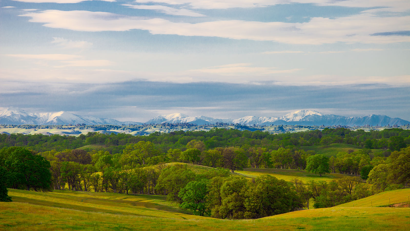 Anthony Dunn Photography: Spring in the Foothills