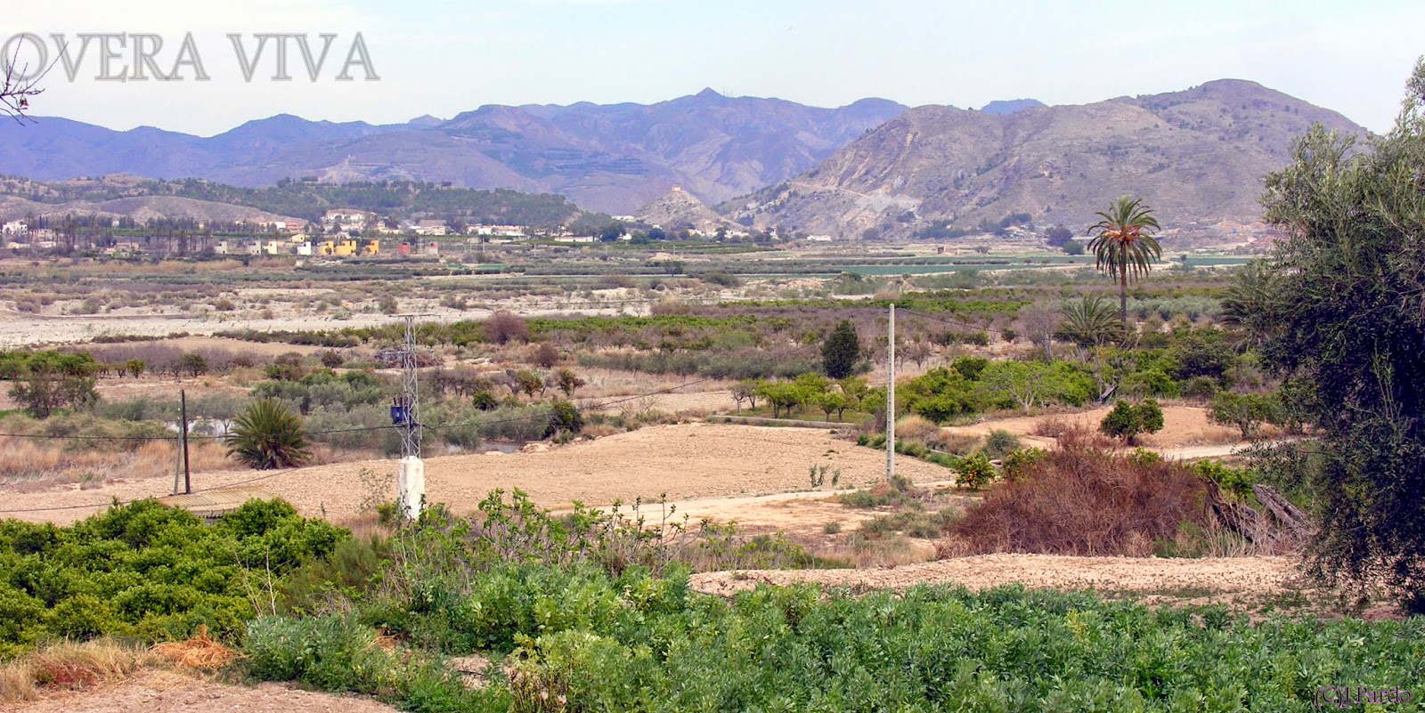 Overa Viva: CON OVERA EN EL CORAZÓN 3: EVOCACIÓN NOSTÁLGICA por ...