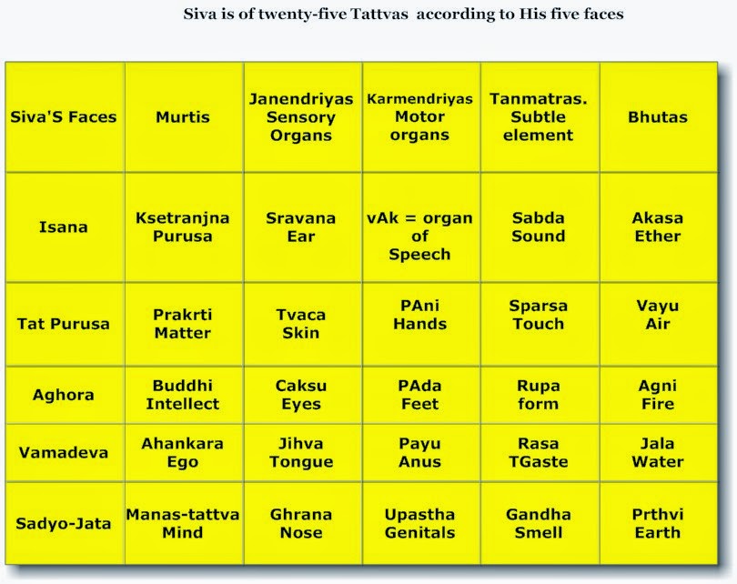 64 Forms : 25 tattvas