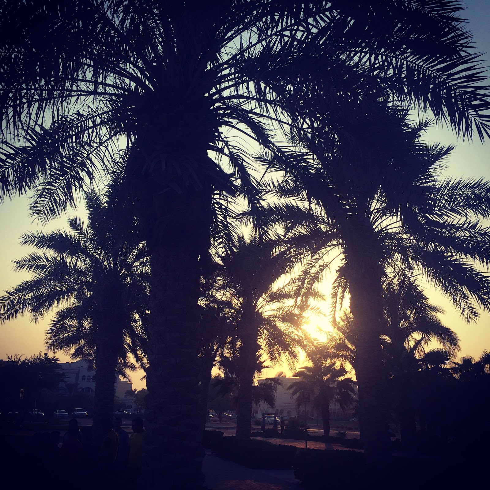 GAATEH KUWAIT (CYCLING): ROUTE-01: MANGAF BLOCK 1 - FAHAHEEL BEACH (9 KM)