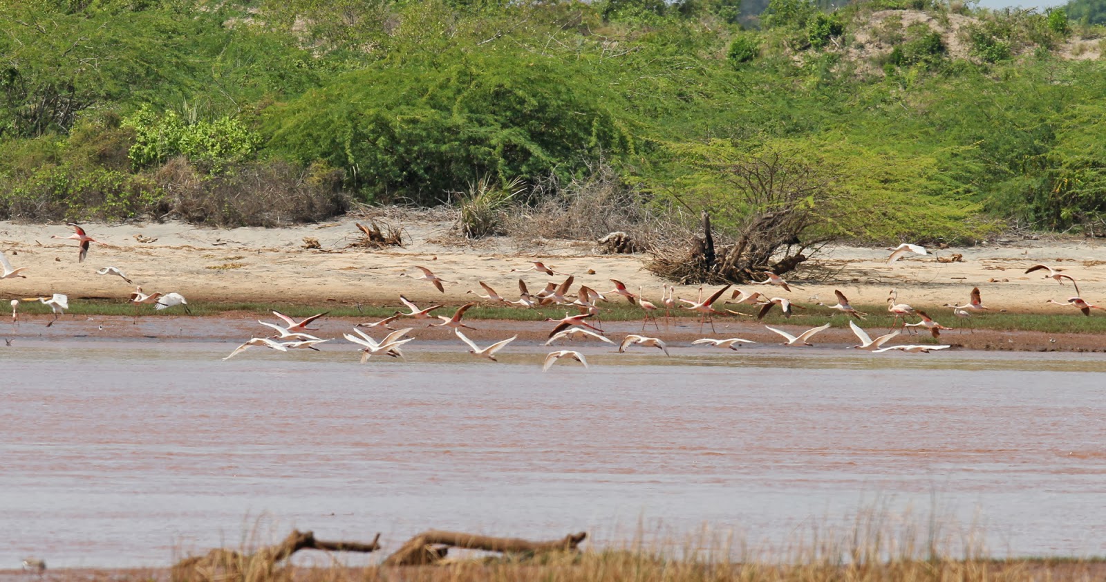 Simon and Karen Spavin: Sabaki River Mouth