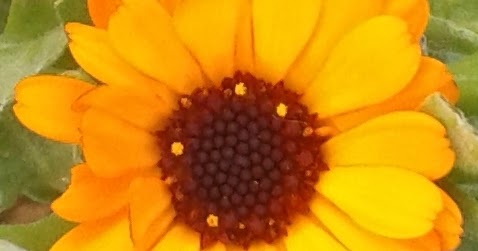 Turbo Charged Reading.: Eight Habits that Improve Cognitive Function