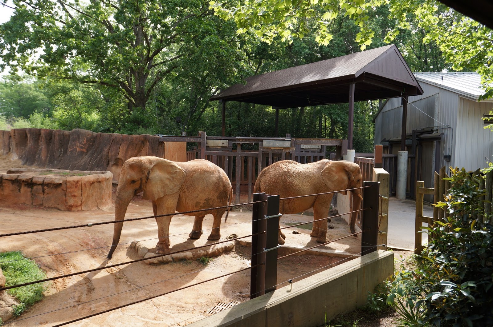 GregsGuns: ZOO + Guns + Knots