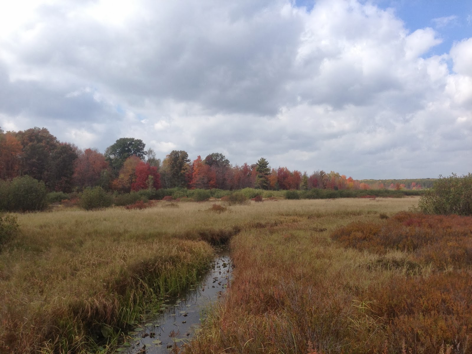 Hiking and camping in MD, PA and beyond: Allegheny Front Trail - West Loop