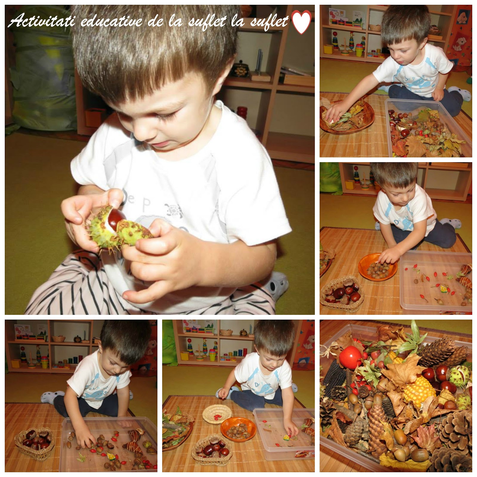 Activitati educative de la suflet la suflet: Activitati cu fructe de ...