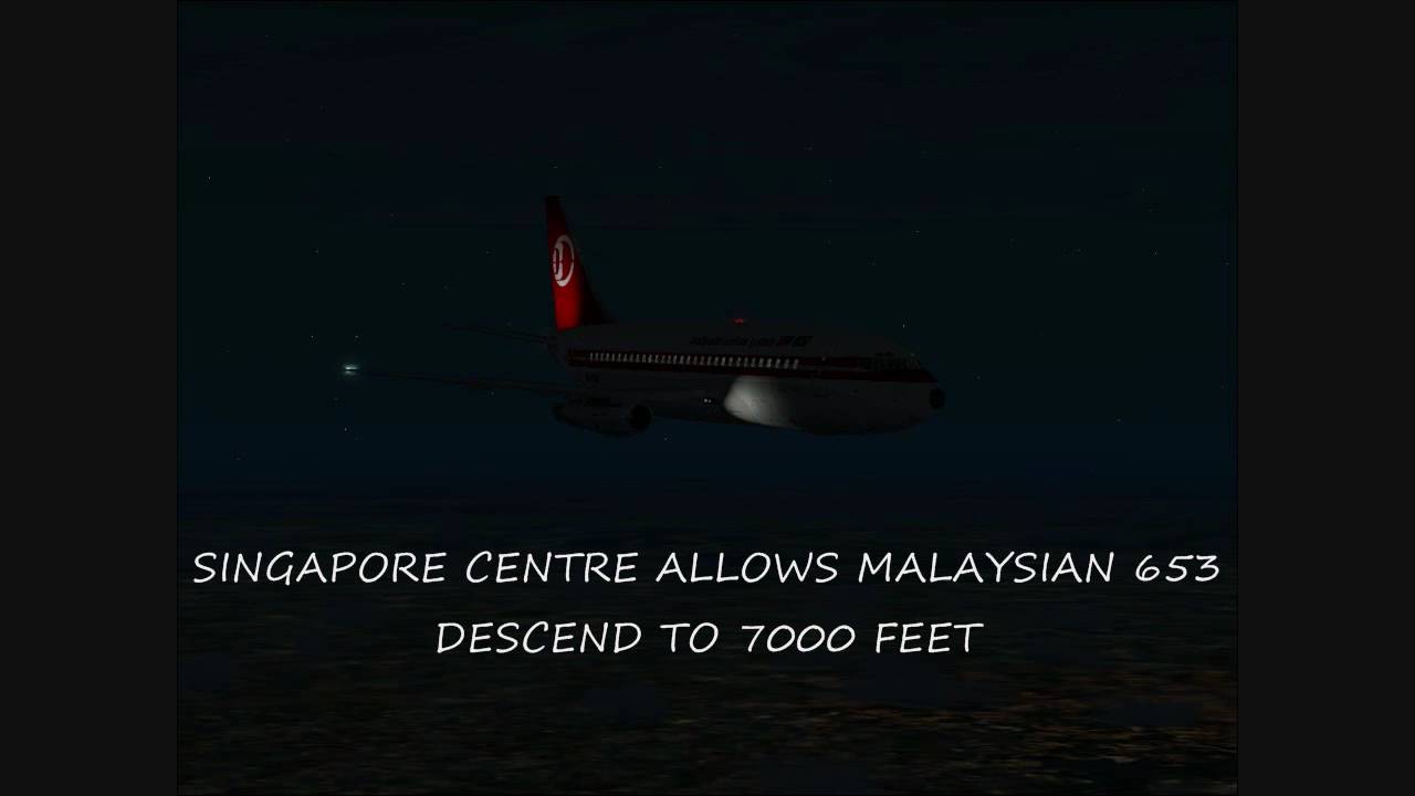 Malaysian Airline System Flight 653