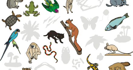 PENGERTIAN, CIRI-CIRI DAN CONTOH HEWAN VERTEBRATA - librarian.id