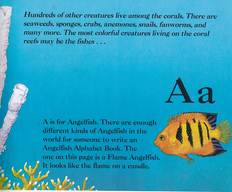 the marlowe bookshelf: The Underwater Alphabet Book