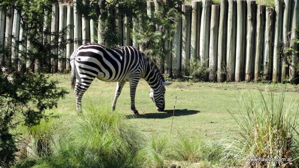 Estos Lugares: Parque Temaiken (Escobar)