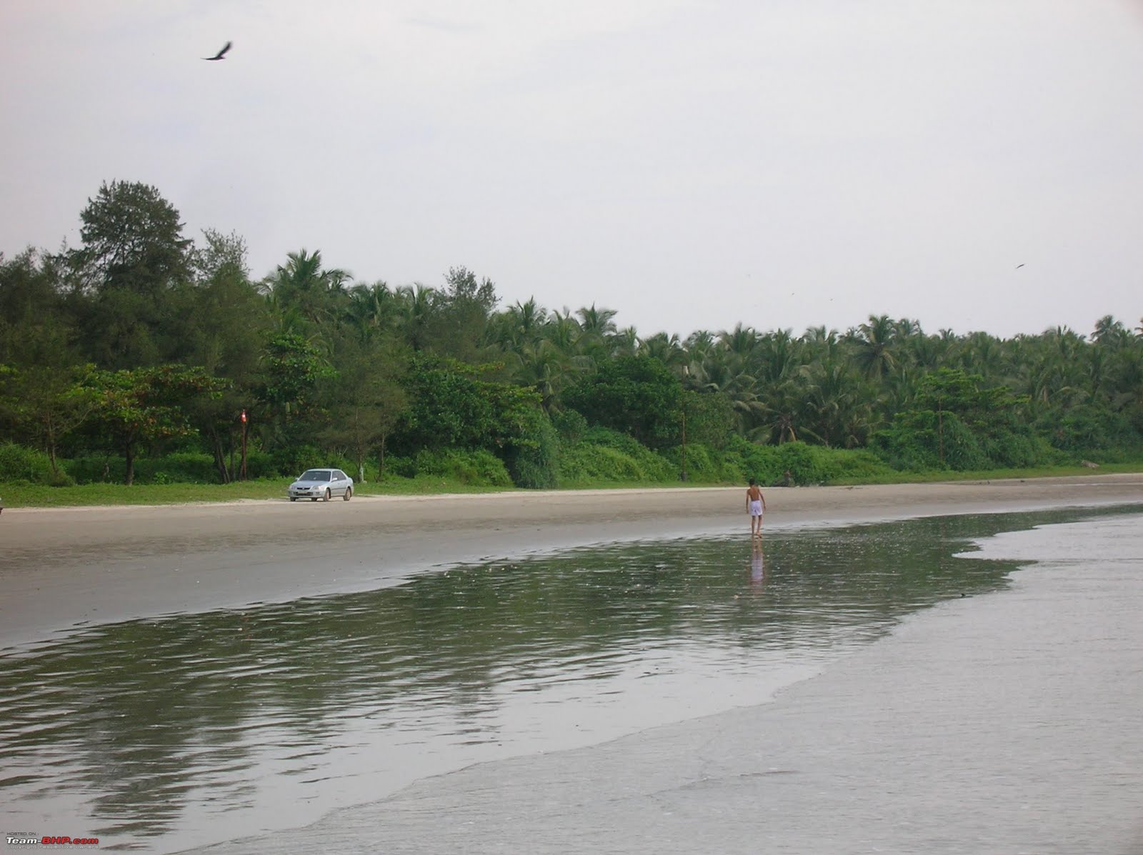 KERALA THE LAND OF RIVERS /FISHES/ WATERFALLS/ BEACH/ LAKE/ DAMS ...