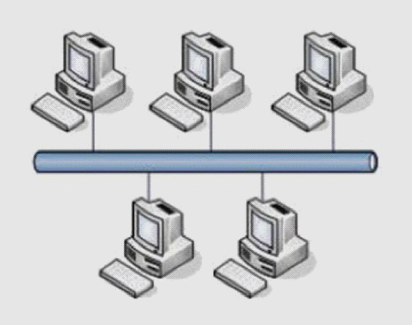 Macam macam Topologi Fisik | Angga Keluk