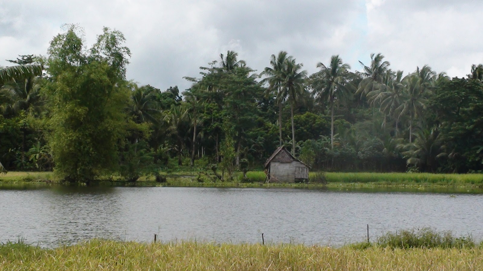 Sinarapan sa Buhi: Photo Gallery