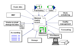 ERP SAP: What are Master Records in SAP MM?