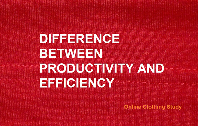 Difference between Productivity and Efficiency
