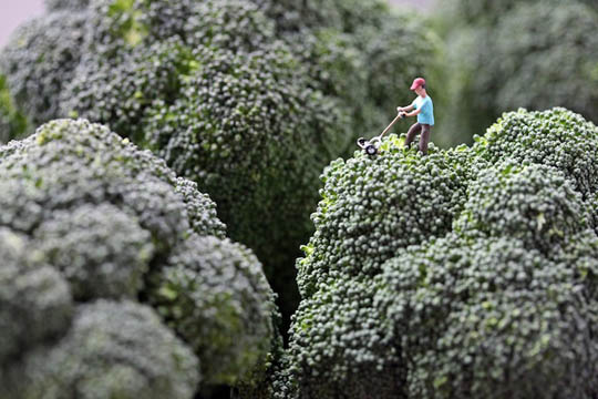 The London Blog: Christopher Boffoli: Disparity