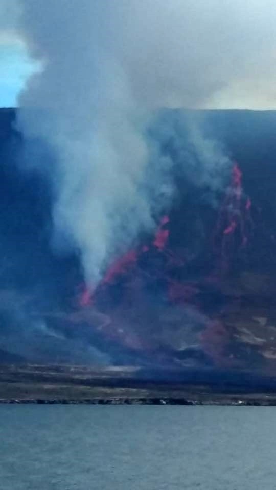 The eruption of the La Cumbre volcano in the Galapagos Islands