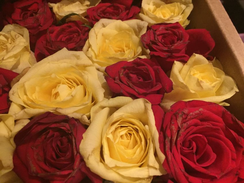 Island Rose Online Flower Delivery Service: My Experience + Review ...