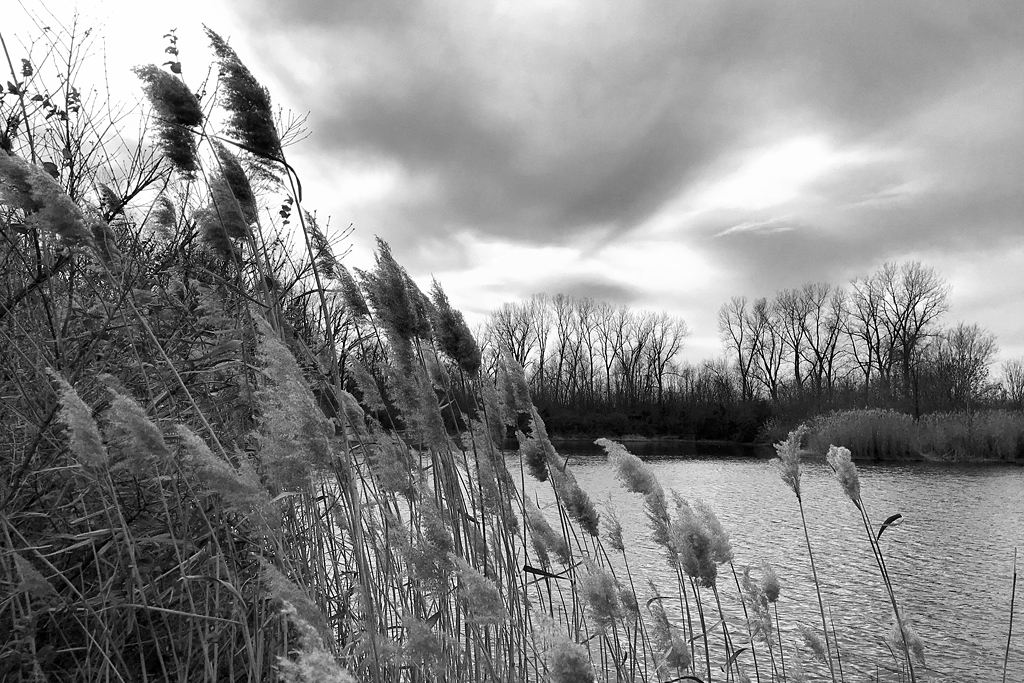 Happenstance Photography: A Chill in the Air