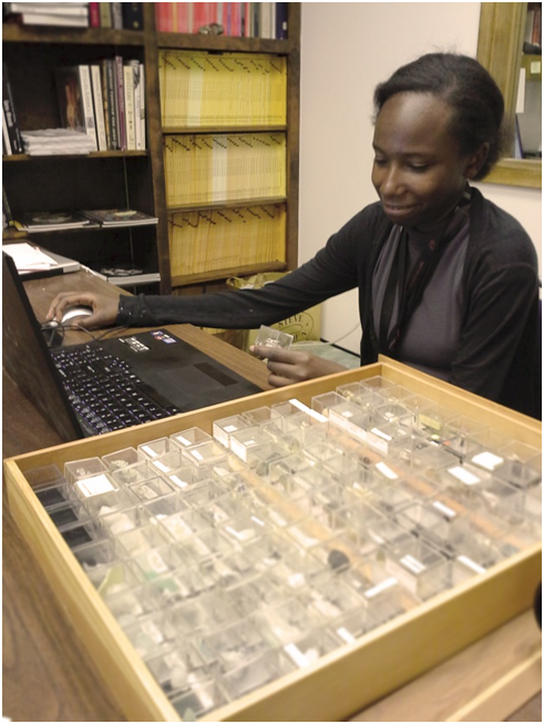 Natural History Museum of L.A. Minblog: Newsletters