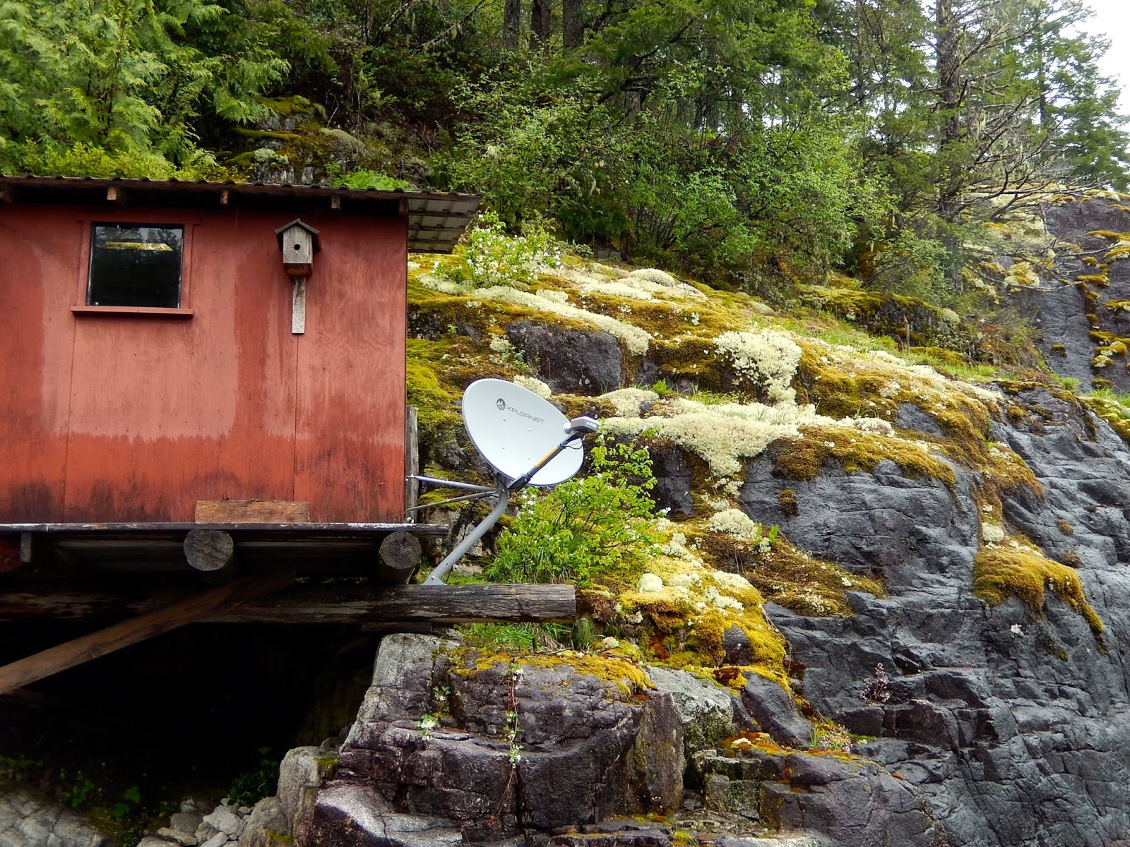 Powell River Books Blog: Xplornet Satellite Internet