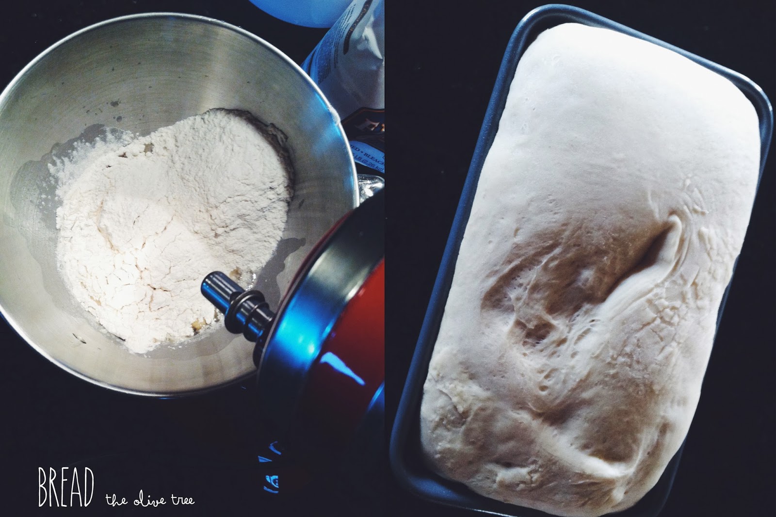 letters and bread. | the olive tree