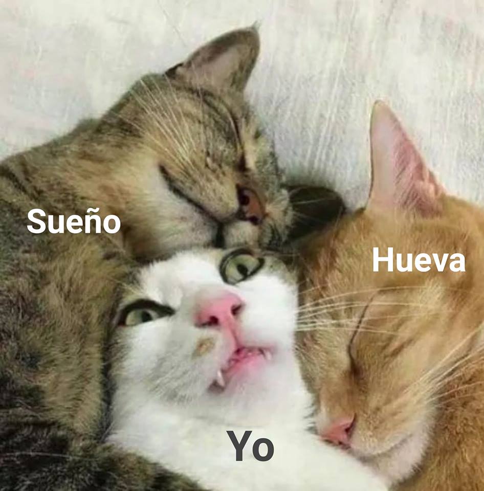 fiuxy series Programa Virtual | Fiuxy