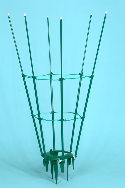 Jim Long's Garden: Ultimate Plant Support for Container Plants