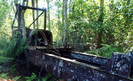 Desolation Florida: Adventures Across the Border: Okefenokee Swamp from ...